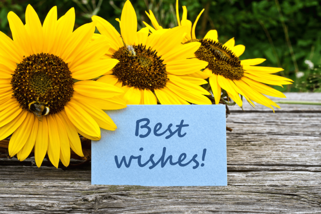 49 Best Wishes Messages for Various Occasions